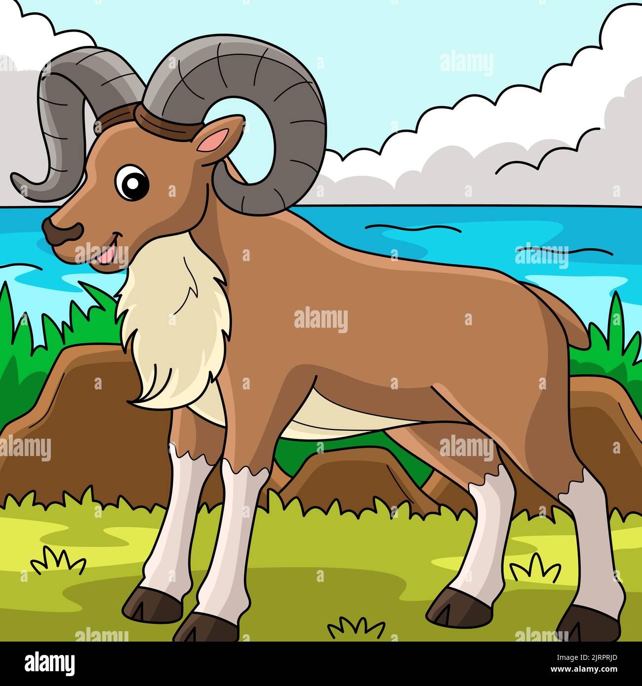 Urial Animal Colored Cartoon Illustration Stock Vector Image & Art - Alamy