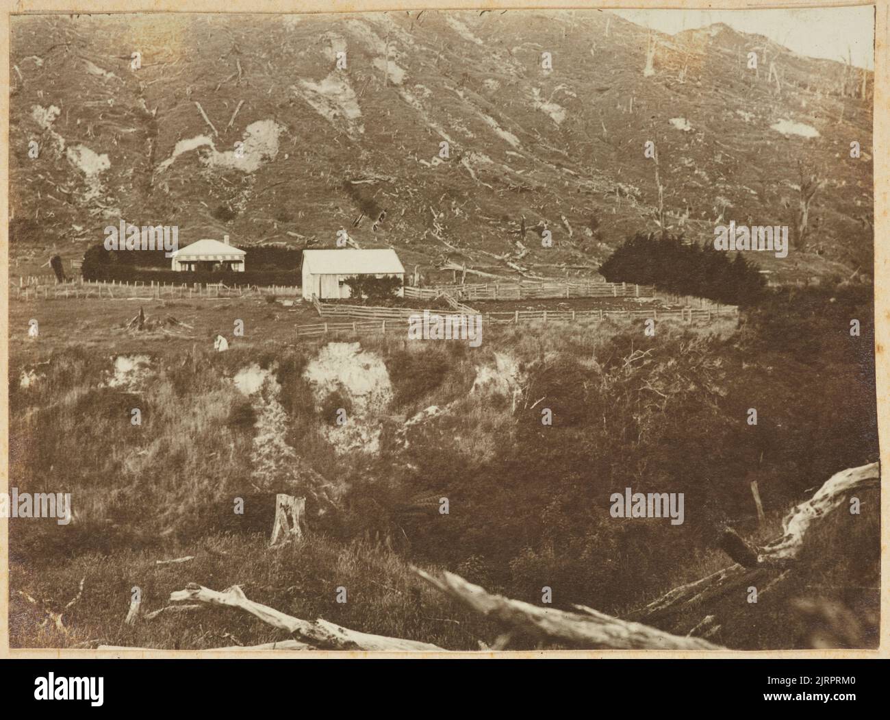 Taumata. From the album: Snapshot album - Nga Mahanga, circa 1900 ...