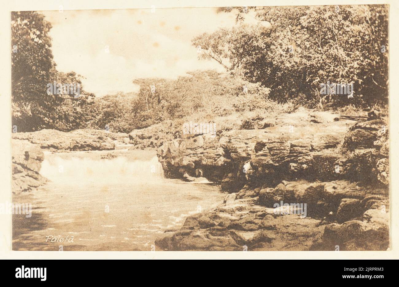 Skerman family album hi-res stock photography and images - Alamy