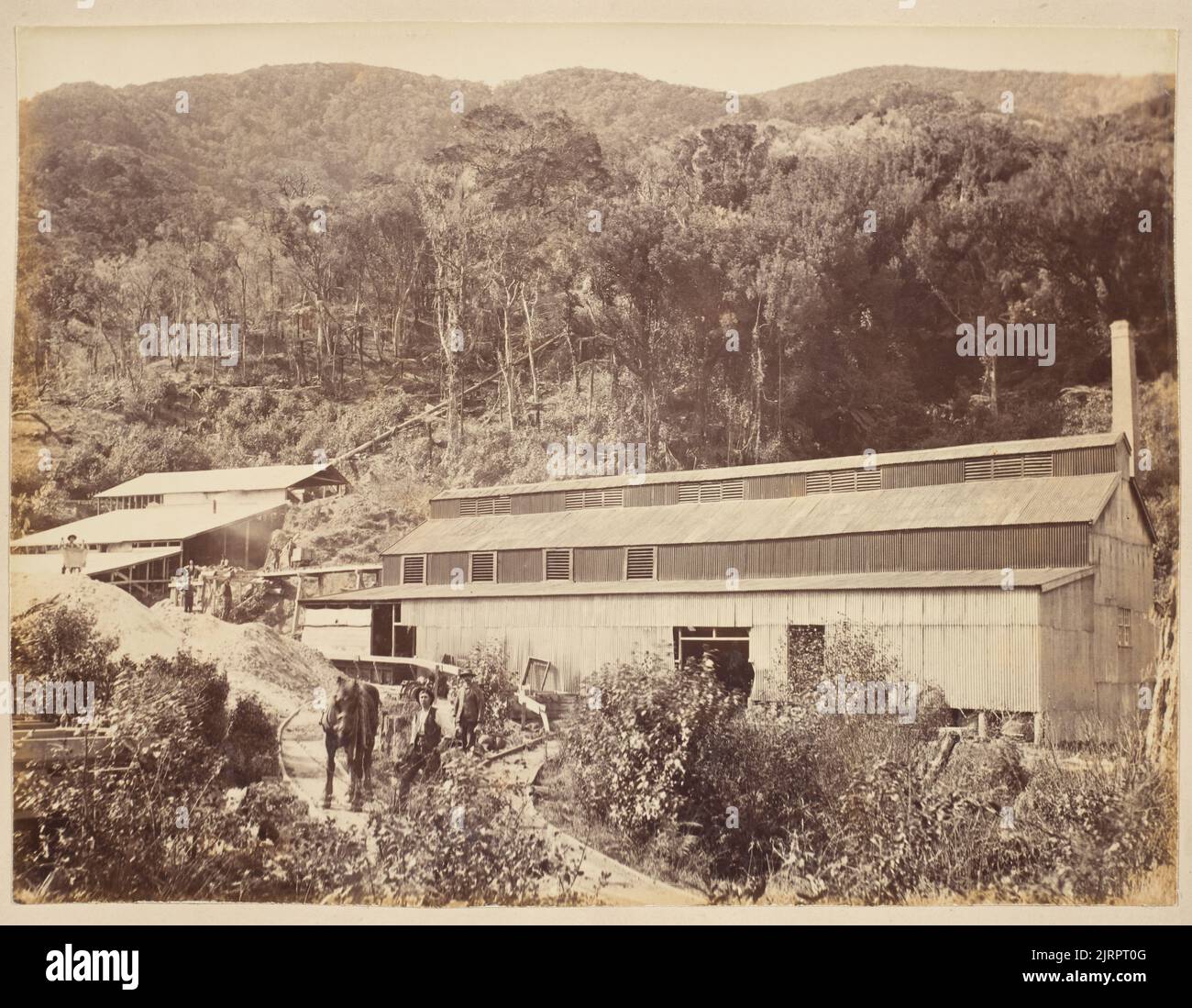 Work site in bush. From the album: Untitled landscape, circa 1880, New ...