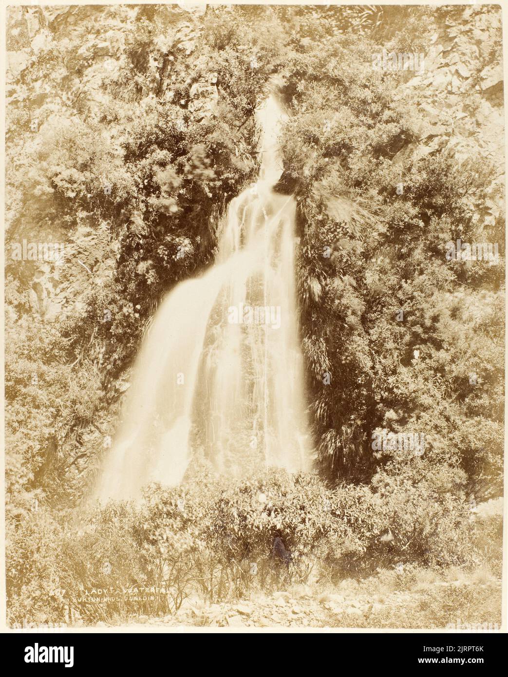 Lady Waterfall, 1875, Dunedin, by Burton Brothers, Alfred Burton Stock ...