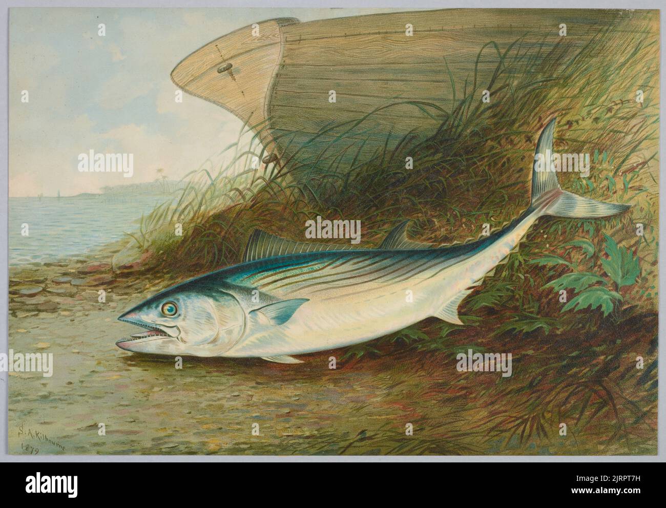 Kilbourne hi-res stock photography and images - Alamy