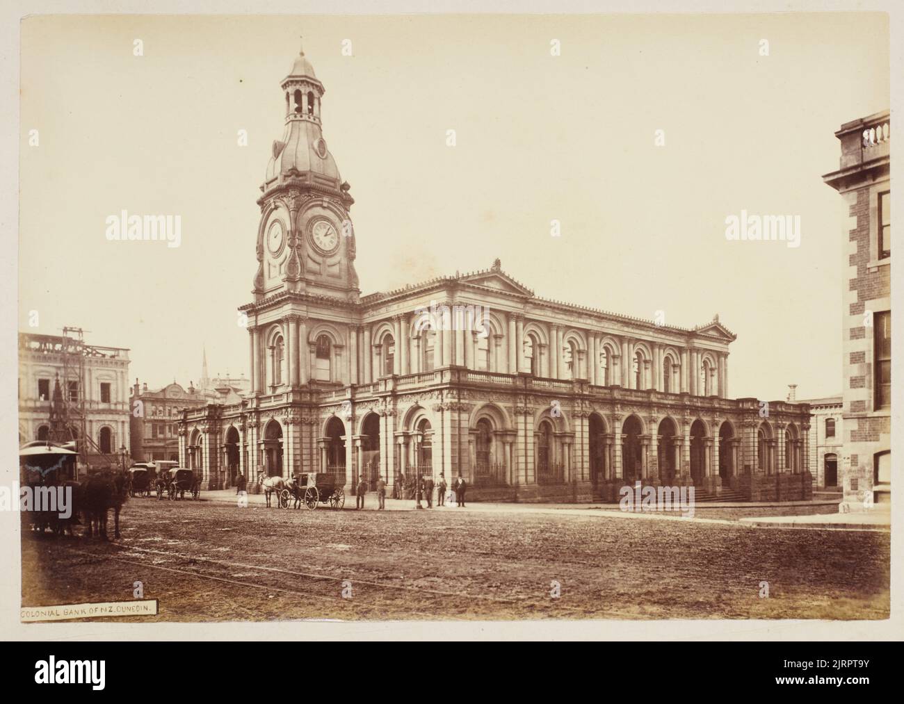 Dunedin from the album hi-res stock photography and images - Alamy