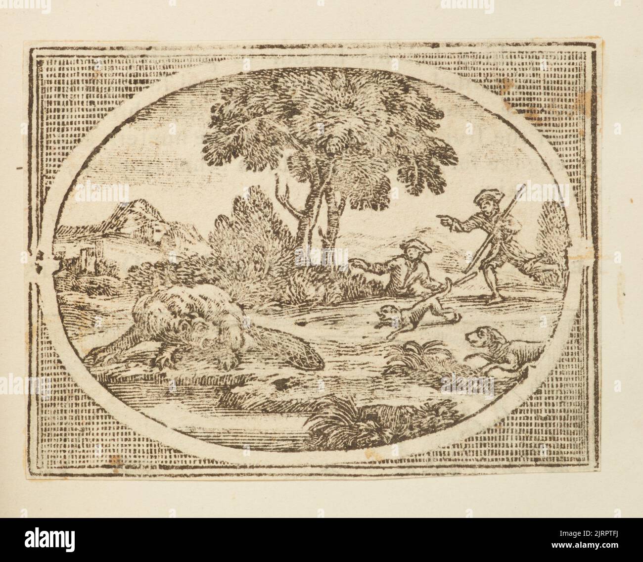 Classic nature engraving hi-res stock photography and images - Alamy