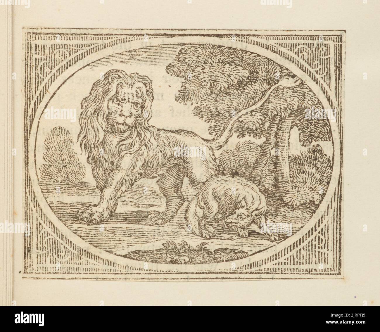 Wood engraving, England, by Thomas Bewick Stock Photo - Alamy