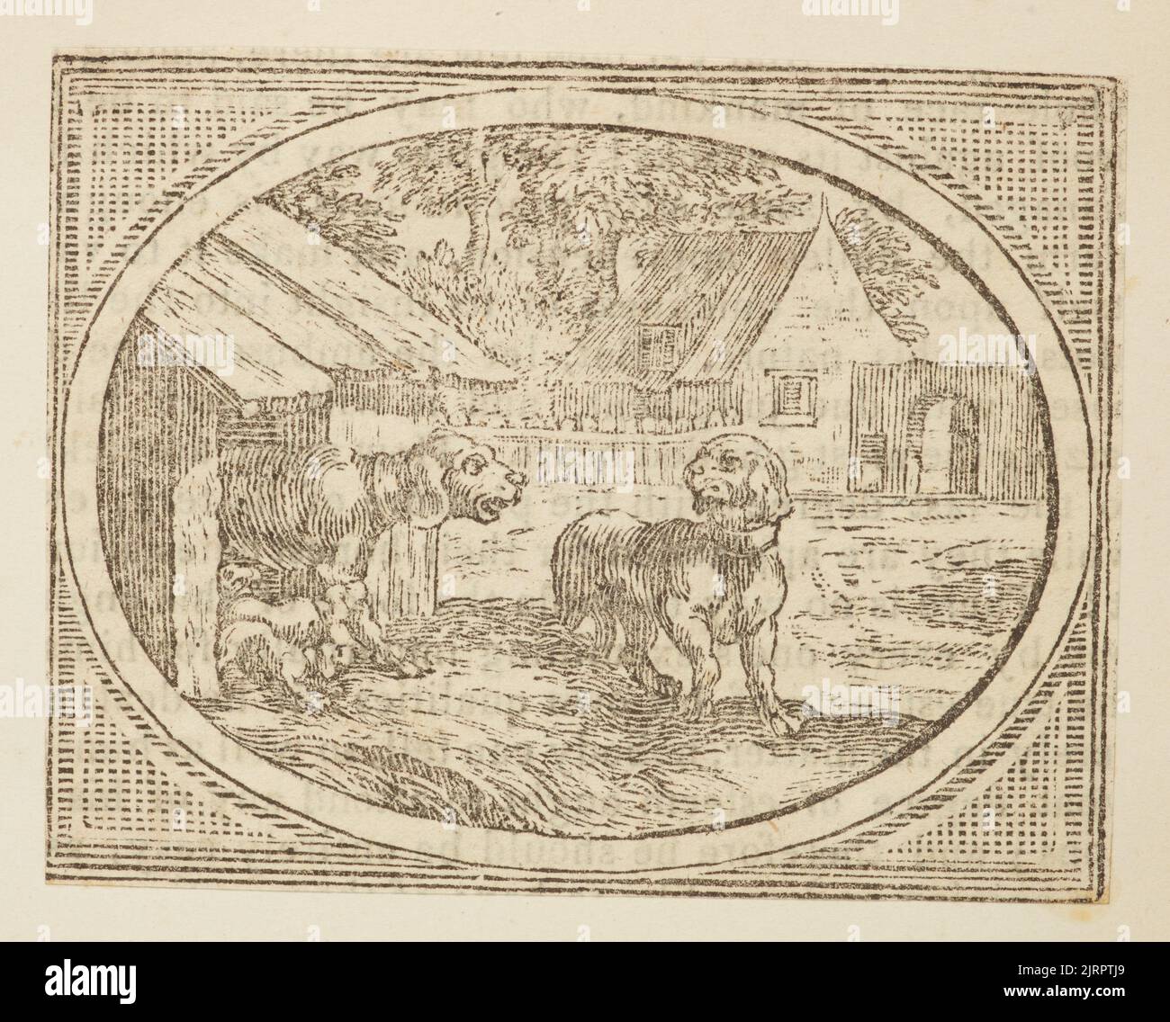 Wood engraving, England, by Thomas Bewick Stock Photo - Alamy