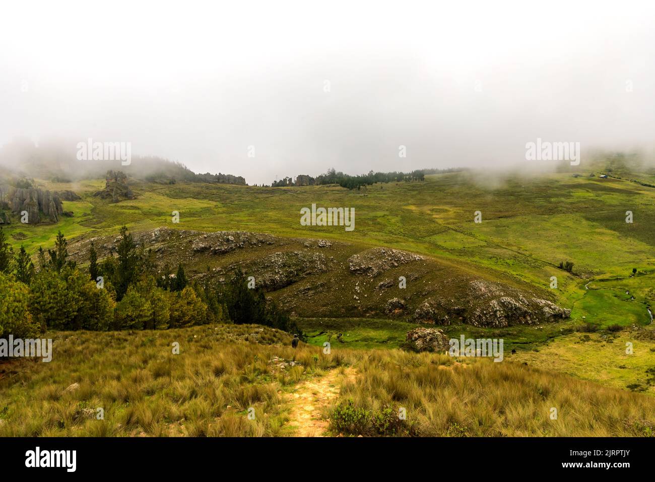 An aerial view of the Stone Forest of Cumbemayo in Cajamarca, Peru ...