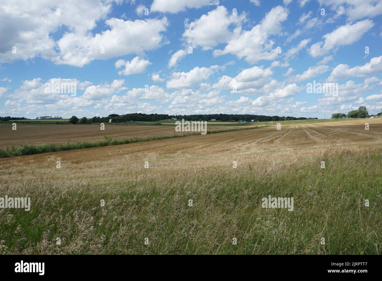 Burlington limestone hi-res stock photography and images - Alamy
