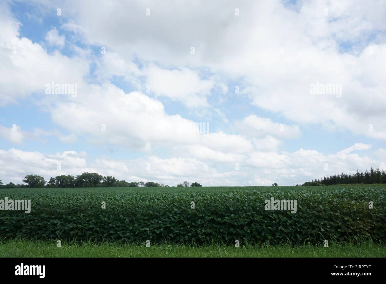 Farm fields off the Wild Goose State Trail in Clyman Wisconsin Stock ...