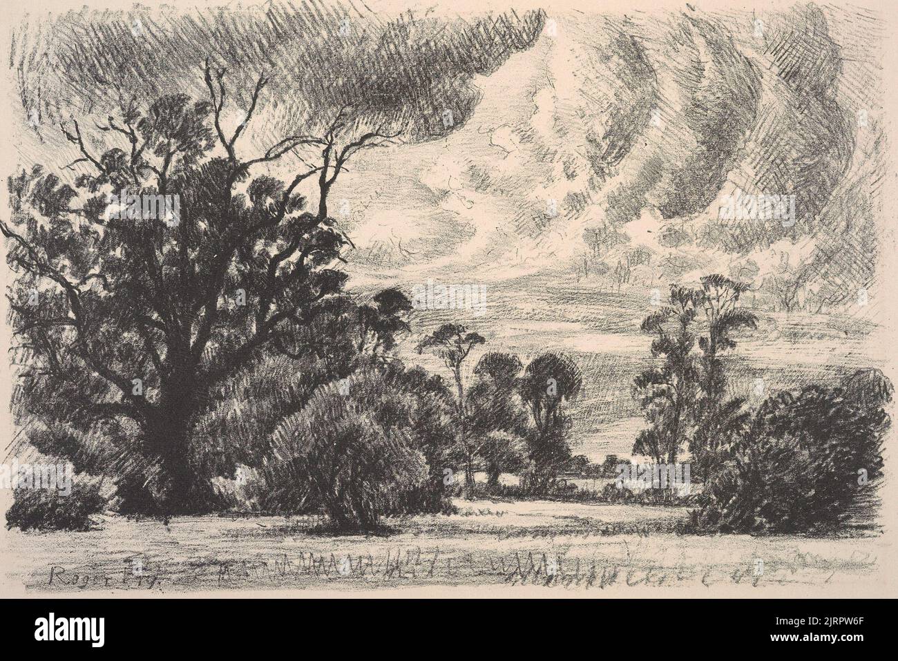 Landscape with trees, by Roger Fry. Gift of Mrs Pamela Diamond, the ...