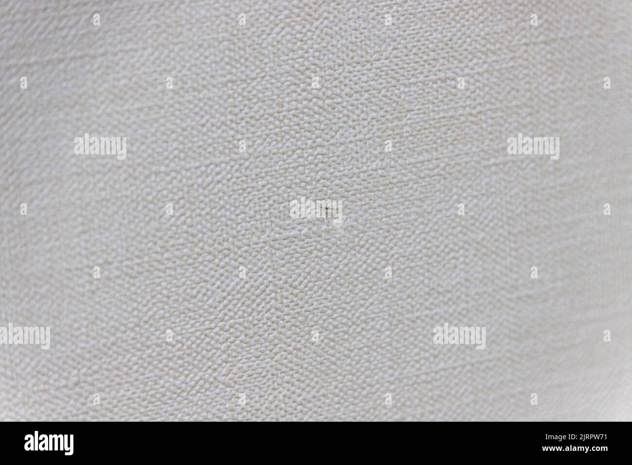 Torn paper texture on wall hi-res stock photography and images - Alamy