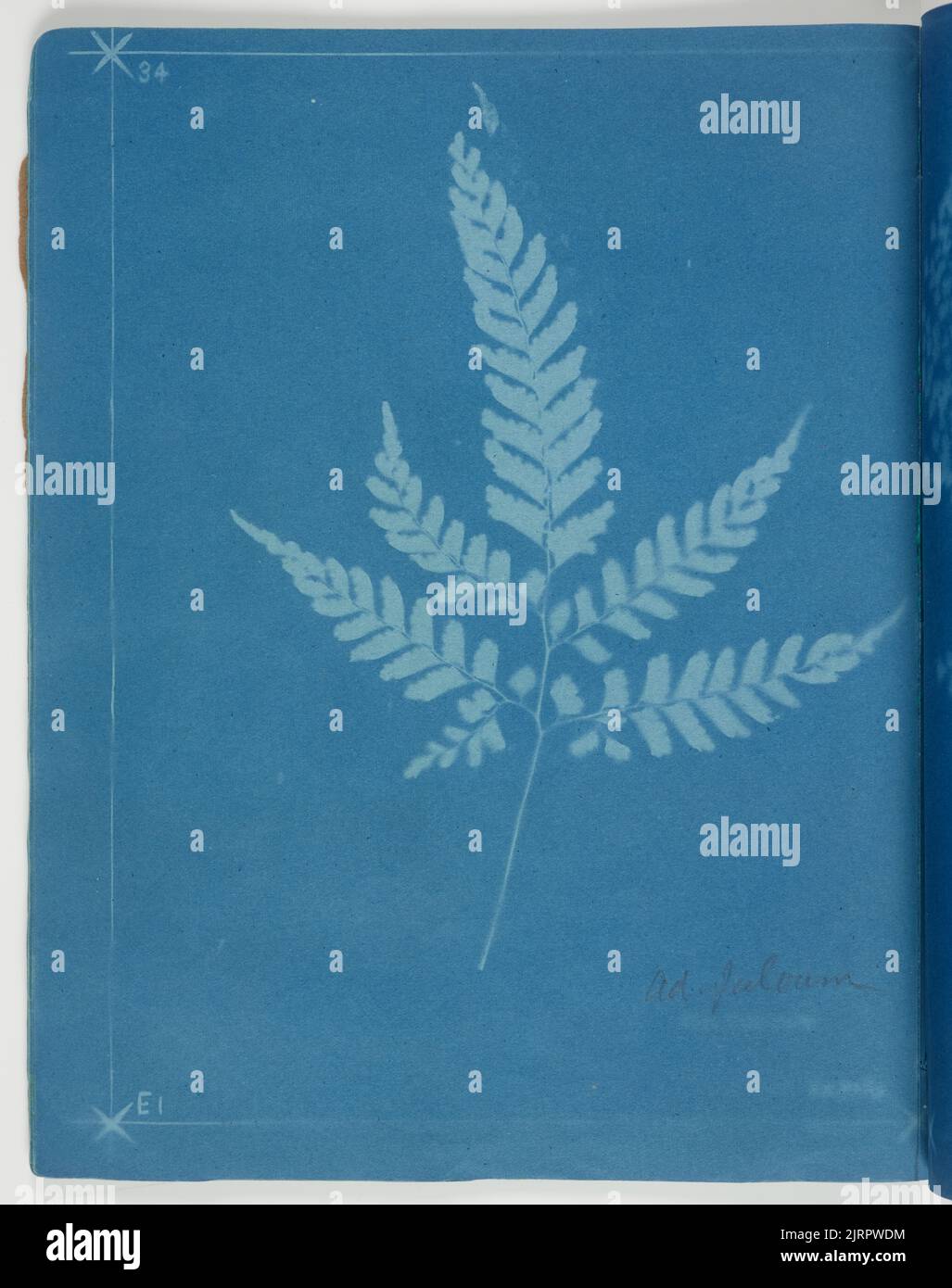 167 varieties hi-res stock photography and images - Alamy