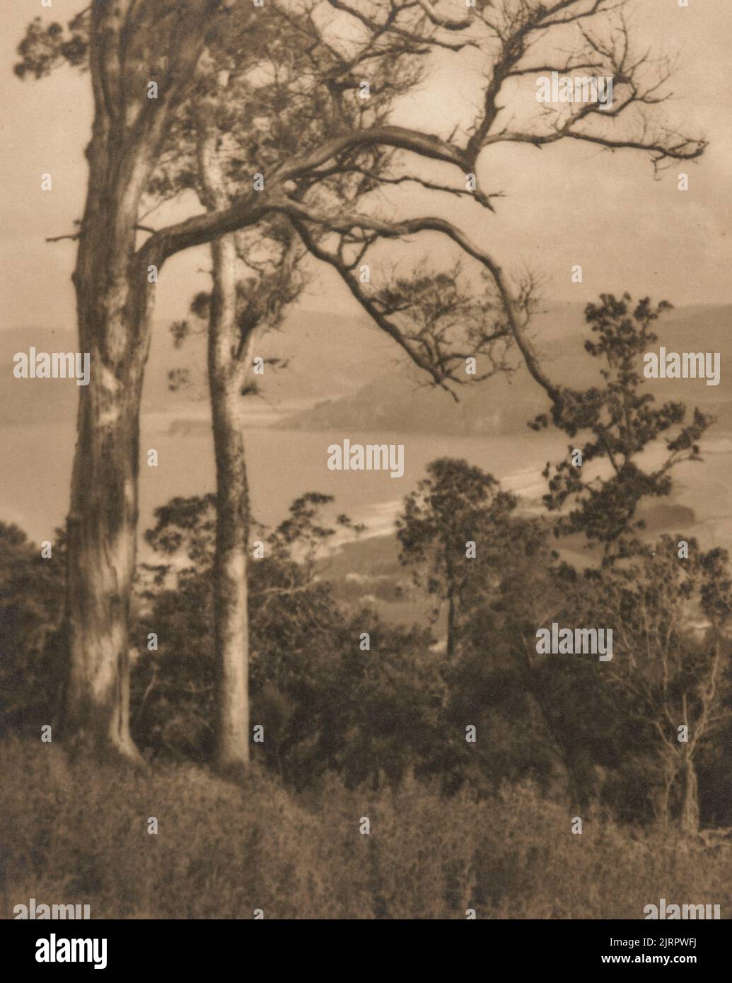 From the hilltop, 1920s-1930s, Dunedin, by George Chance Stock Photo ...