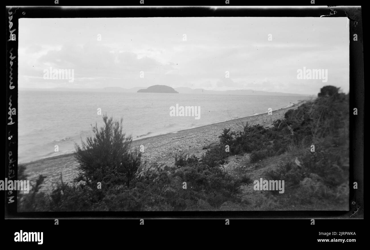 Motutaiko hi-res stock photography and images - Alamy