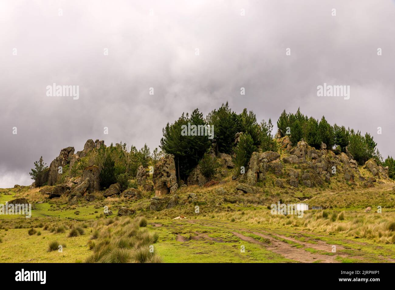 Tourism in cajamarca peru hi-res stock photography and images - Alamy