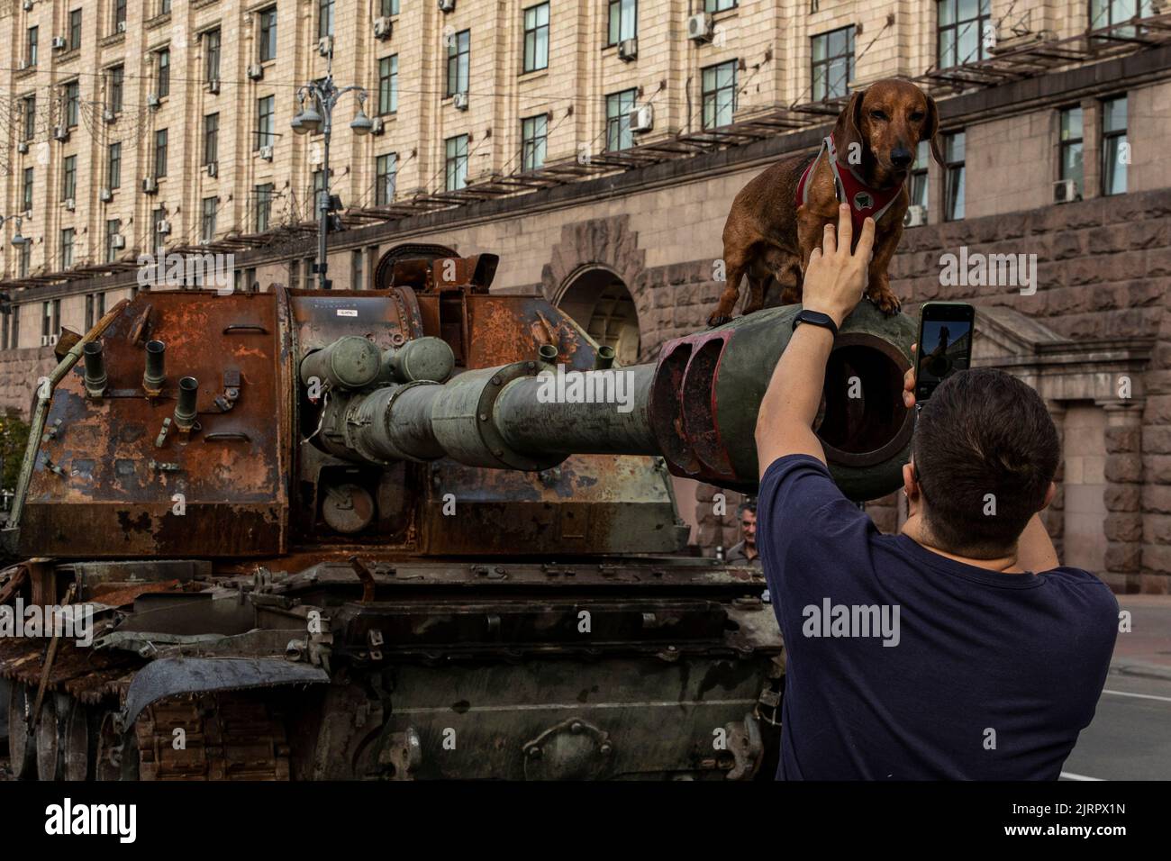 Eugen takes a photo of his dog Tosha on the turret of the destroyed ...