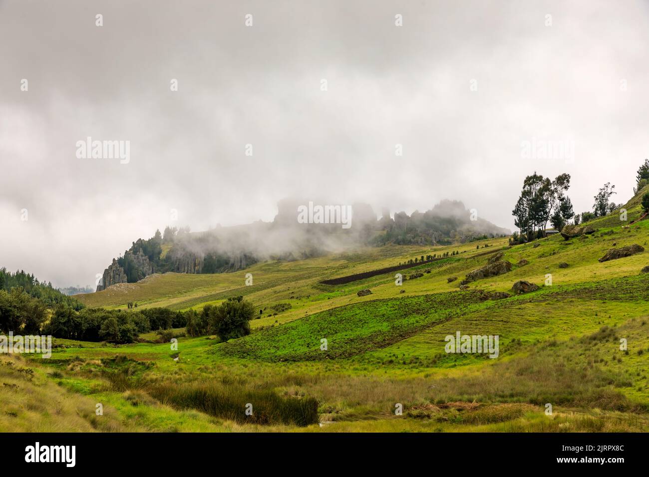 The beautiful Stone Forest Cumbemayo in Cajamarca, Peru on a foggy day ...