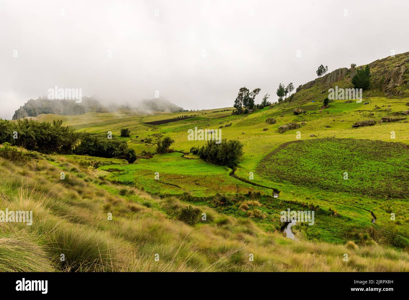 The beautiful Stone Forest Cumbemayo in Cajamarca, Peru on a cloudy day ...