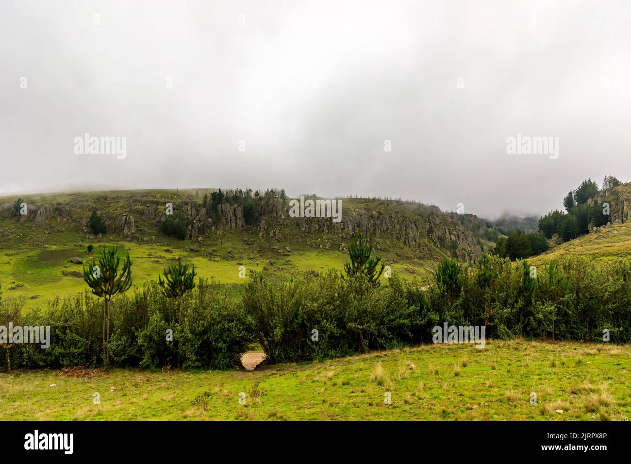 The beautiful Stone Forest Cumbemayo in Cajamarca, Peru on a foggy day ...