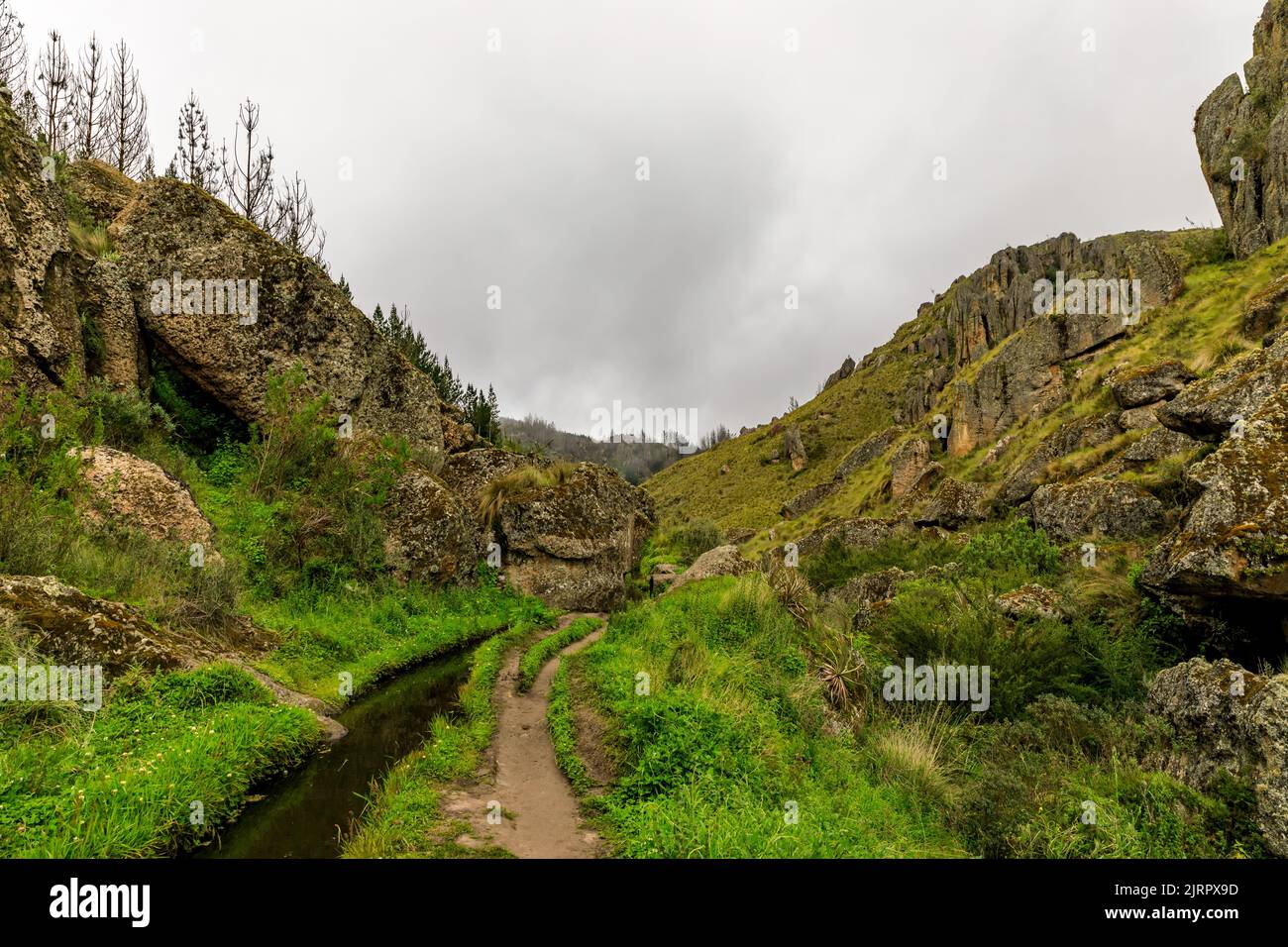 The beautiful Stone Forest Cumbemayo in Cajamarca, Peru on a cloudy day ...