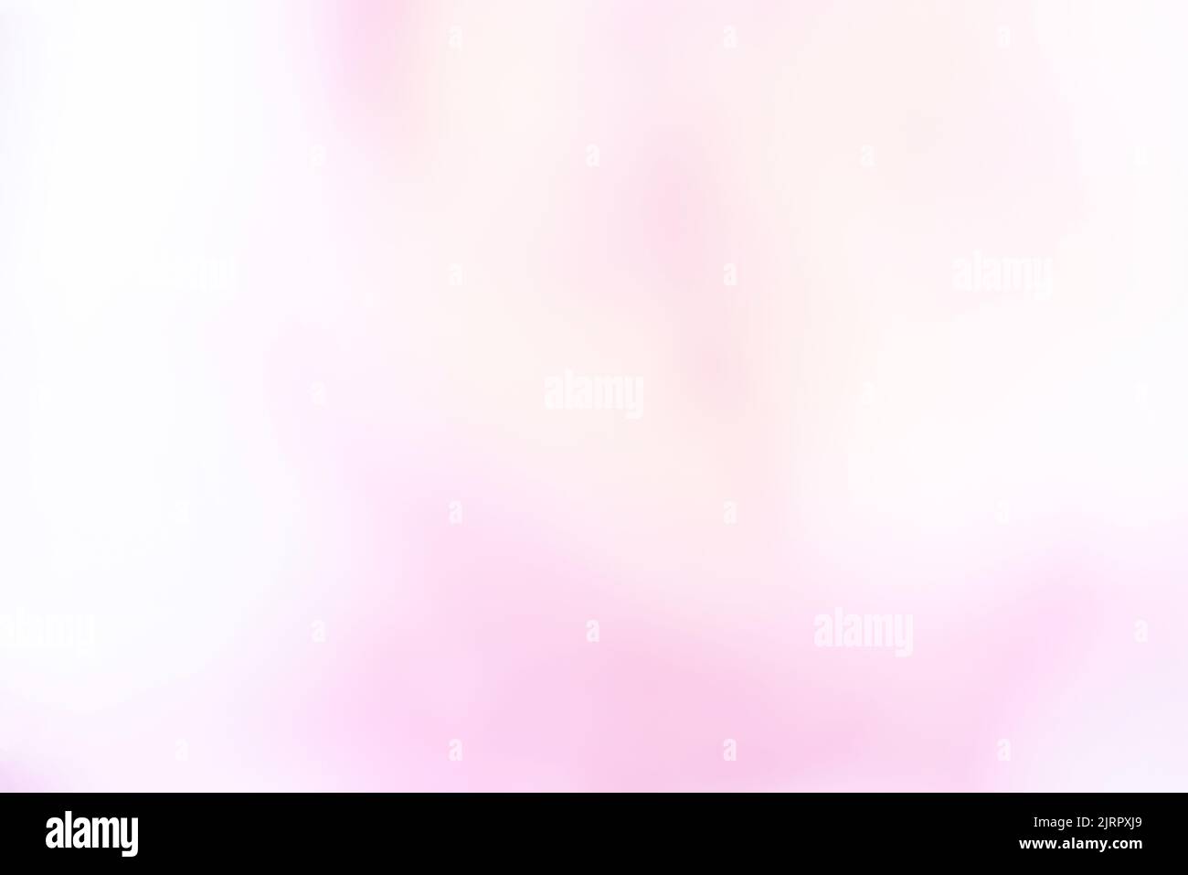 Abstract blurred pink background for graphic design concept Stock Photo ...
