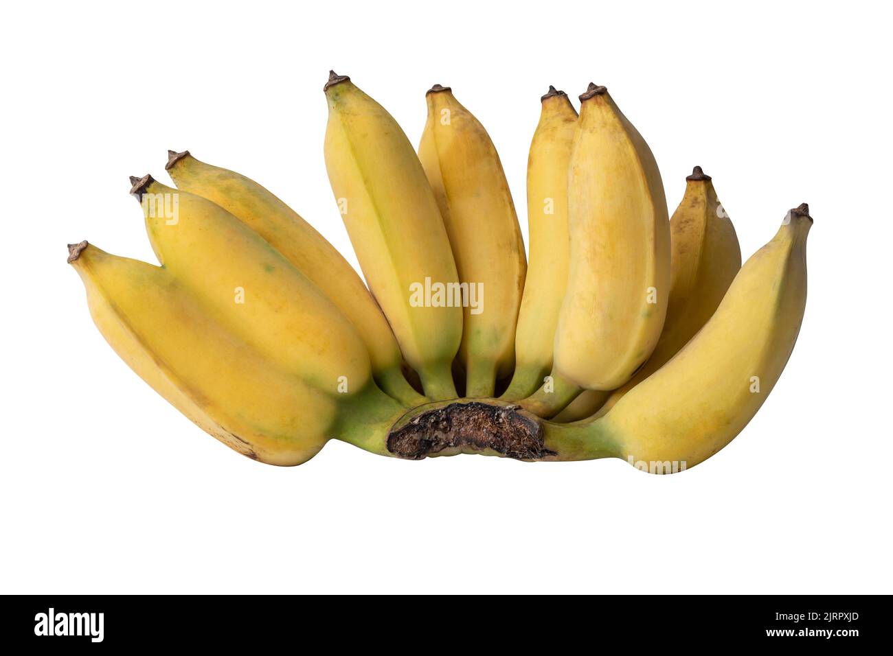 Ripe yellow bananas isolated on white background with clipping paths ...