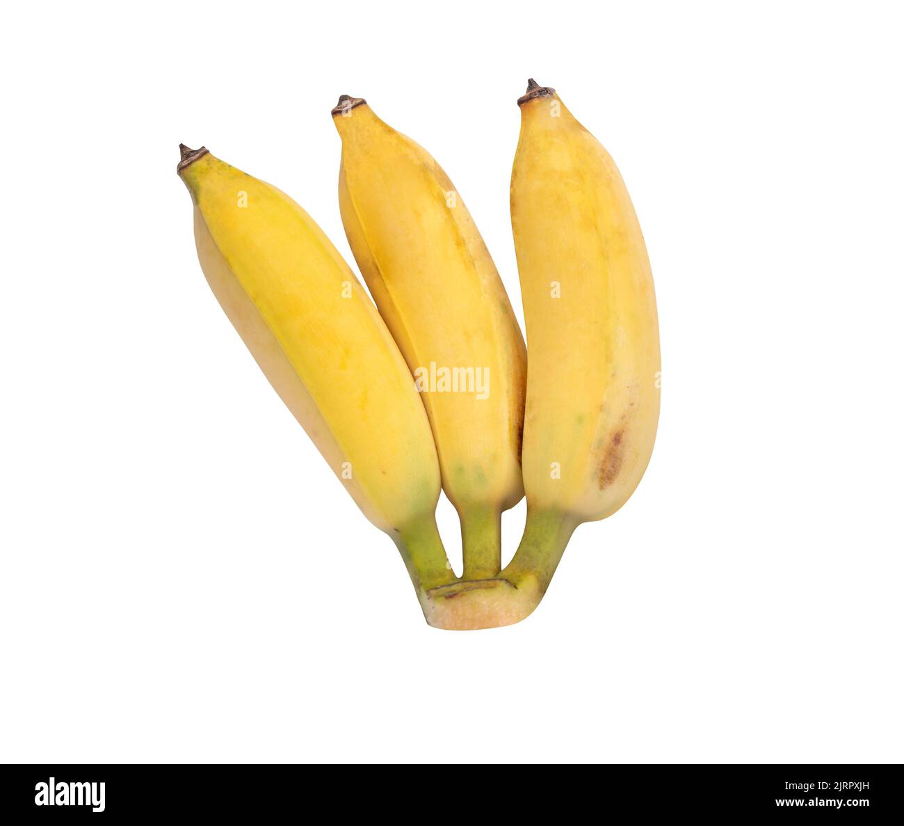 Cultivated banana isolated on white background with clipping paths. 3 ...