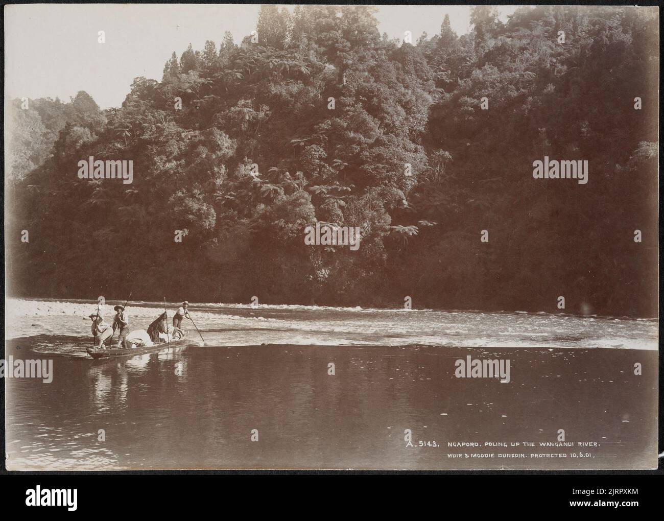 Wanganui river ngaporo hi-res stock photography and images - Alamy