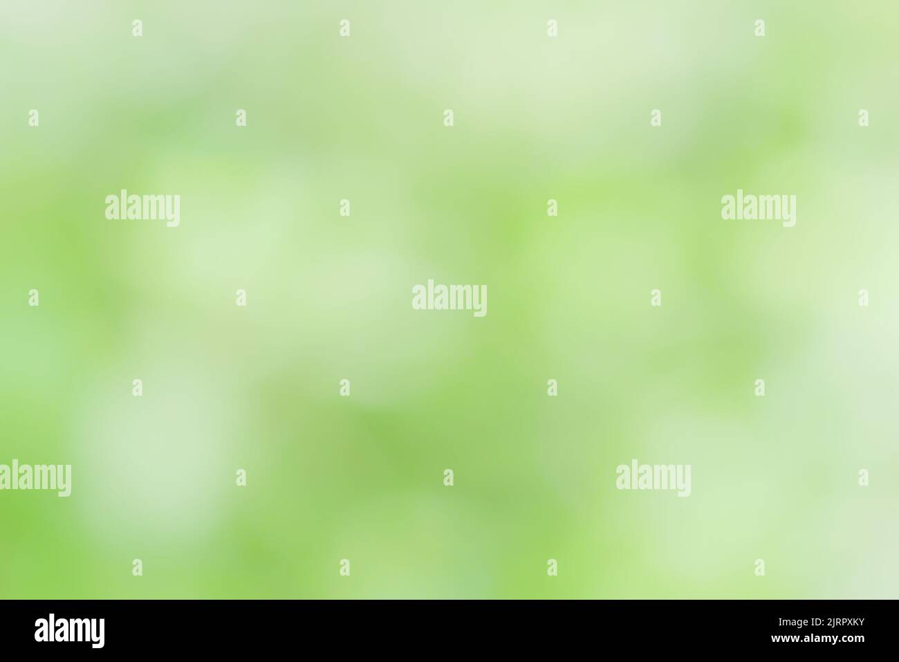 Abstract blurred soft focus of bright green color backgrounds Stock ...