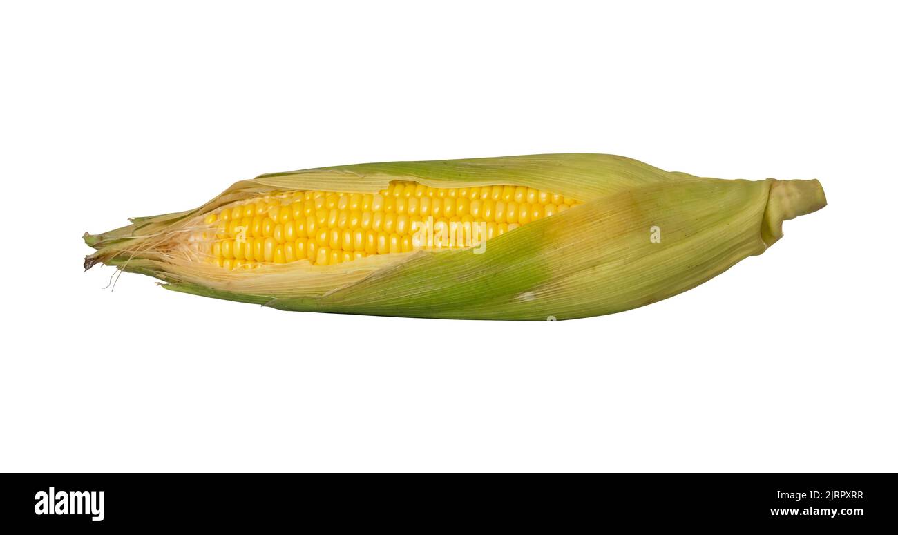 Corn isolate on white background with clipping paths Stock Photo - Alamy