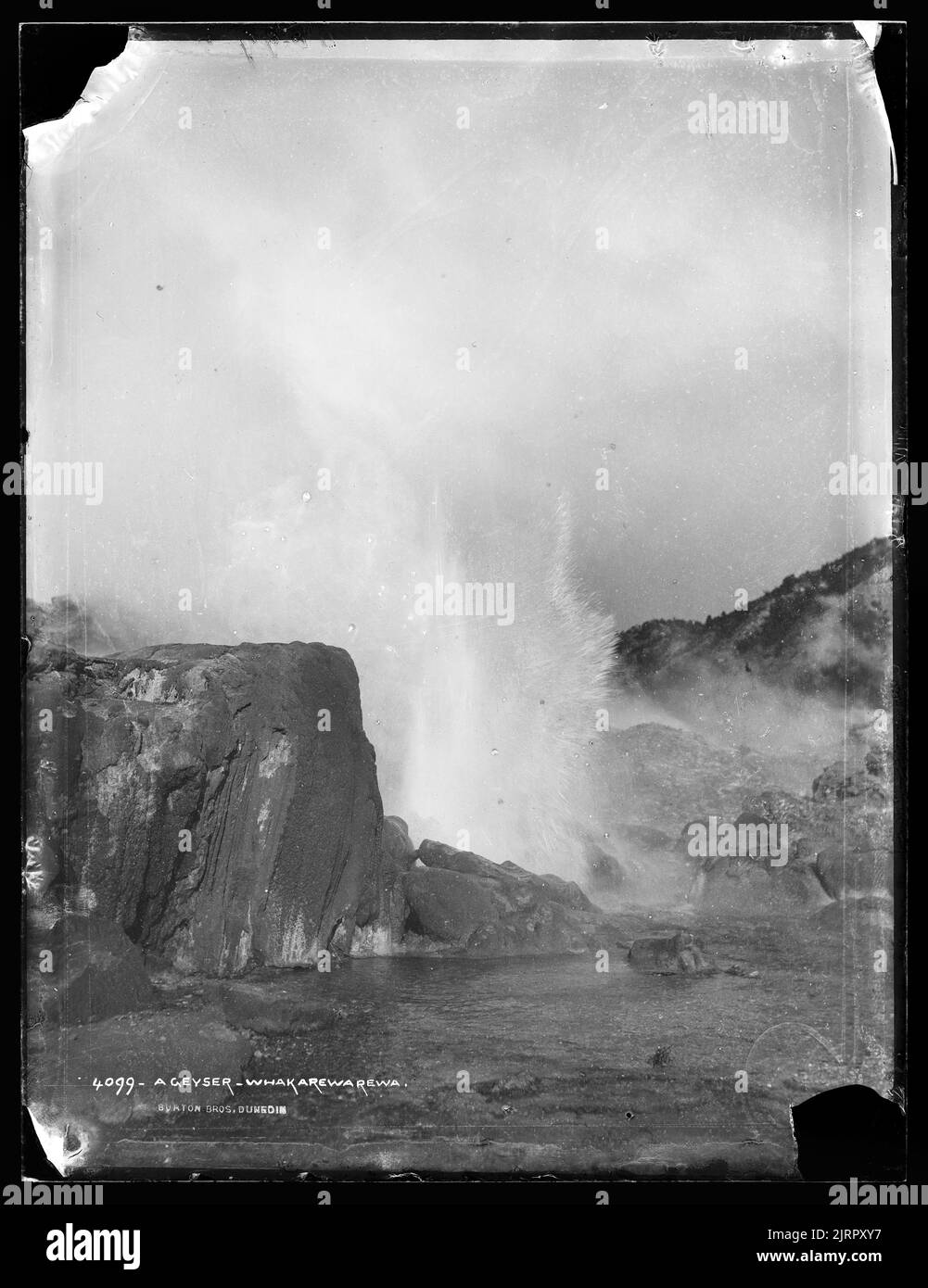 A geyser, Whakarewarewa, 1886, New Zealand, by Burton Brothers ...