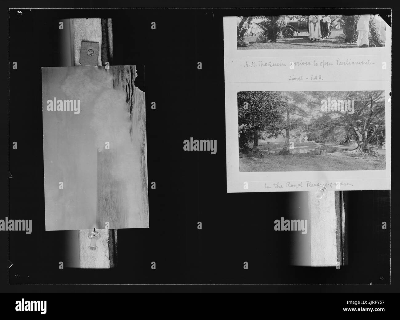 Tongan life hi-res stock photography and images - Alamy