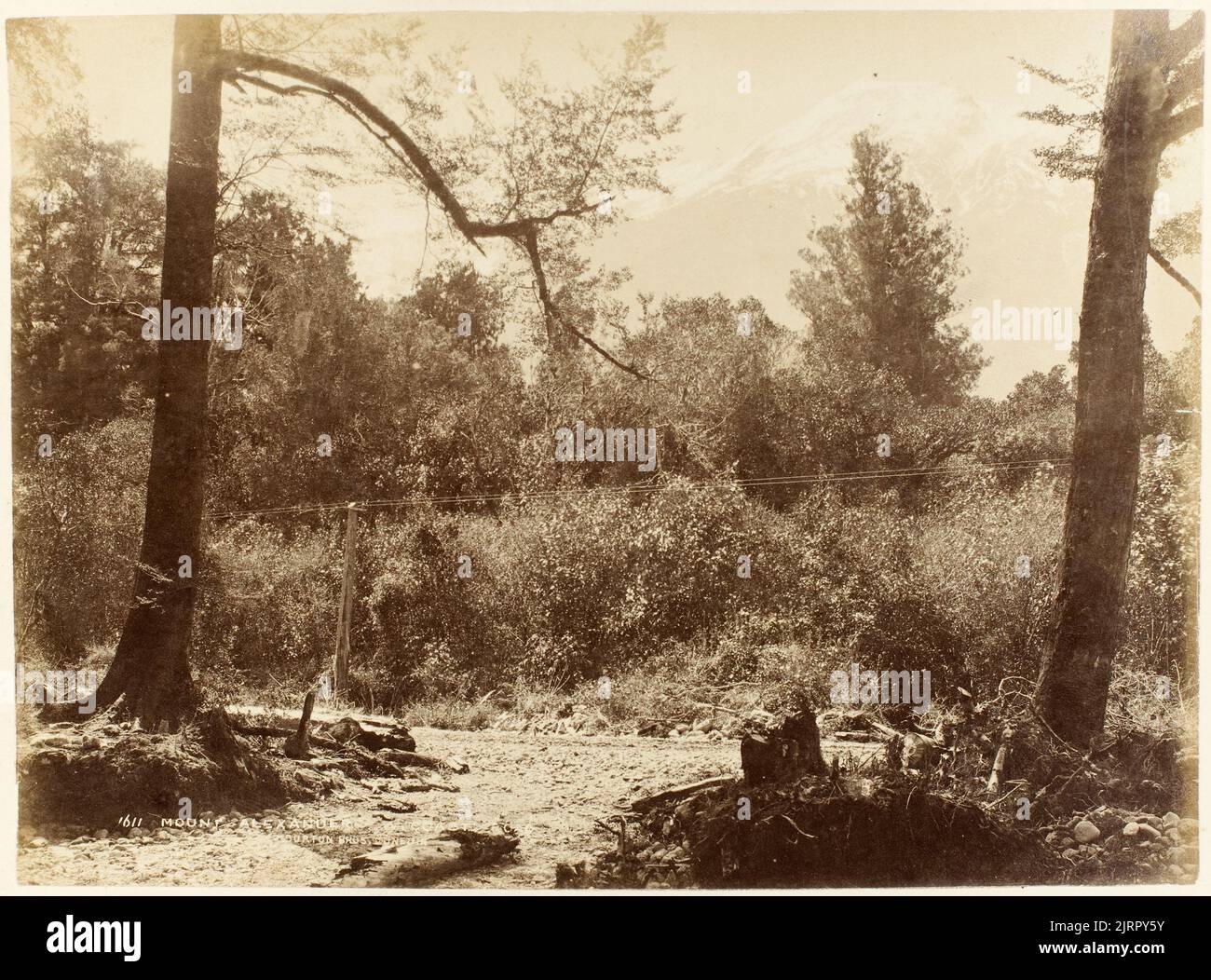 Mount Alexander West Coast Road. From the album: Views of New Zealand ...
