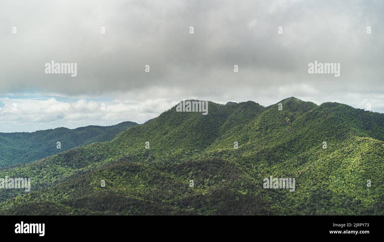 A beautiful landscape of the El Yunque National Forest in Puerto Rico ...