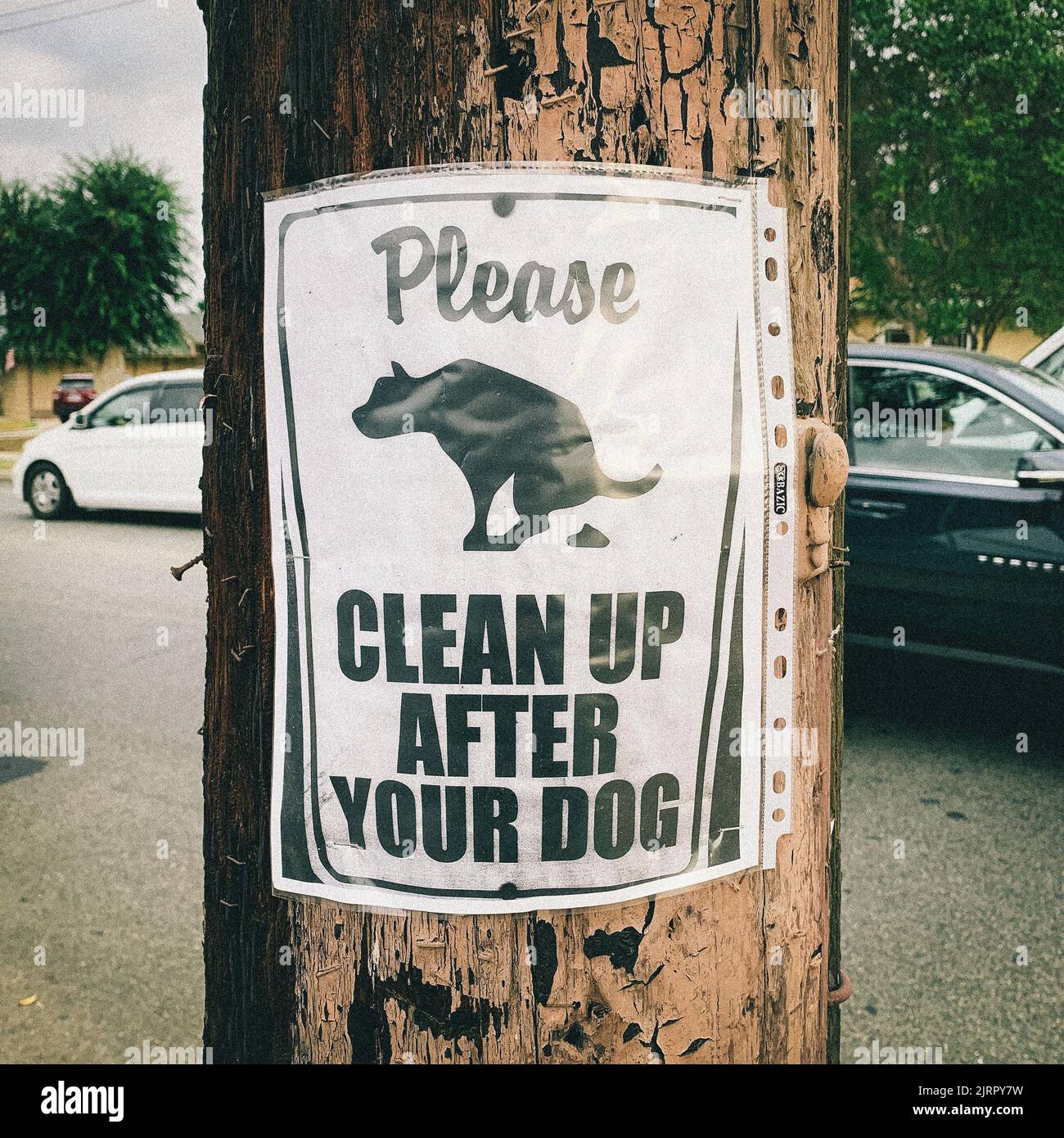 Signage on a tree for pet owners Stock Photo - Alamy
