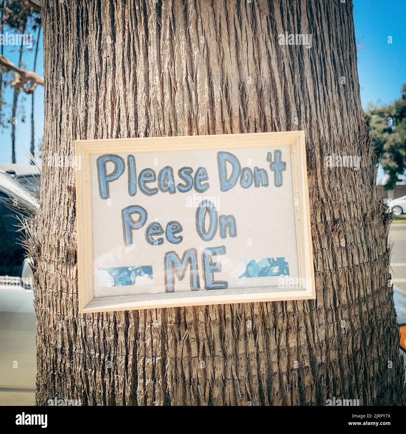 Signage on a tree for pet owners Stock Photo - Alamy