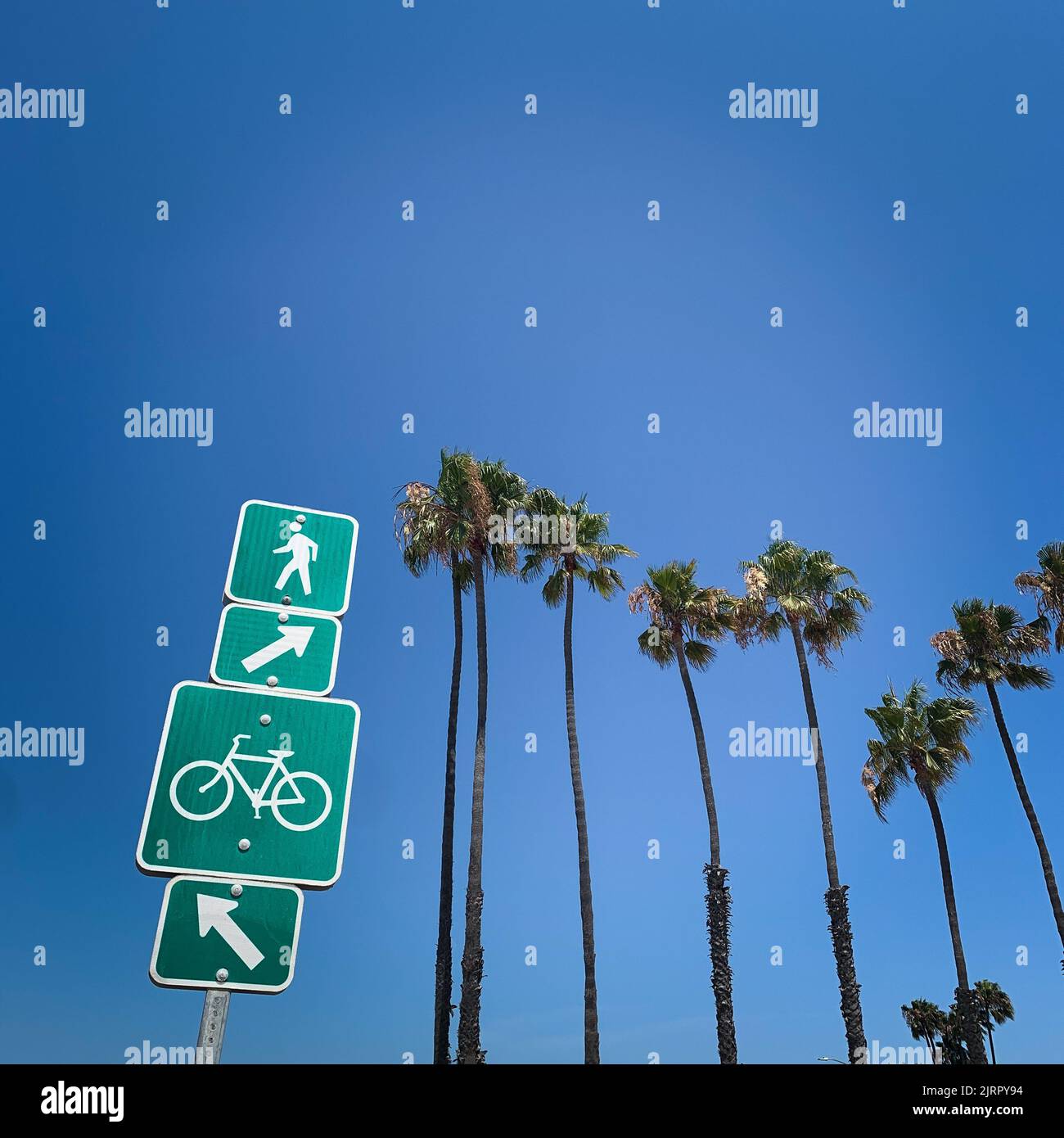 Palm trees and pedestrian signage under blue skies Stock Photo - Alamy