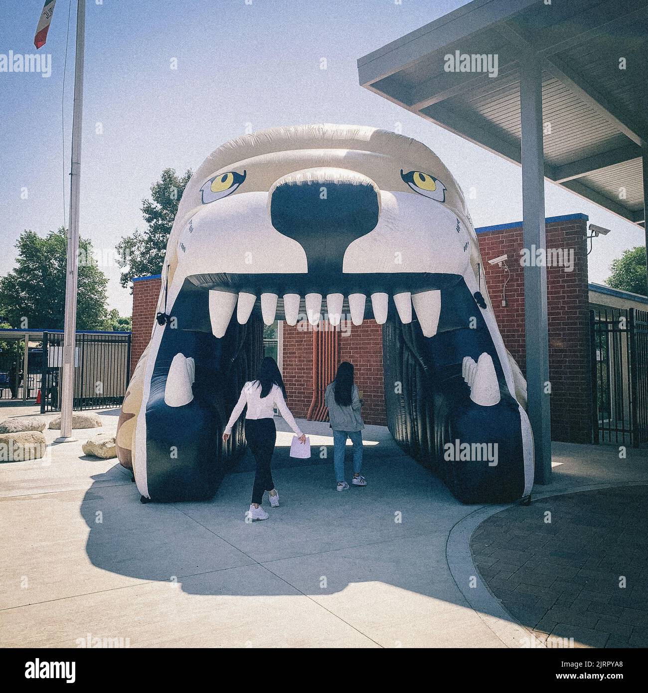 School spirit lion inflatable entrance way in front of school Stock ...