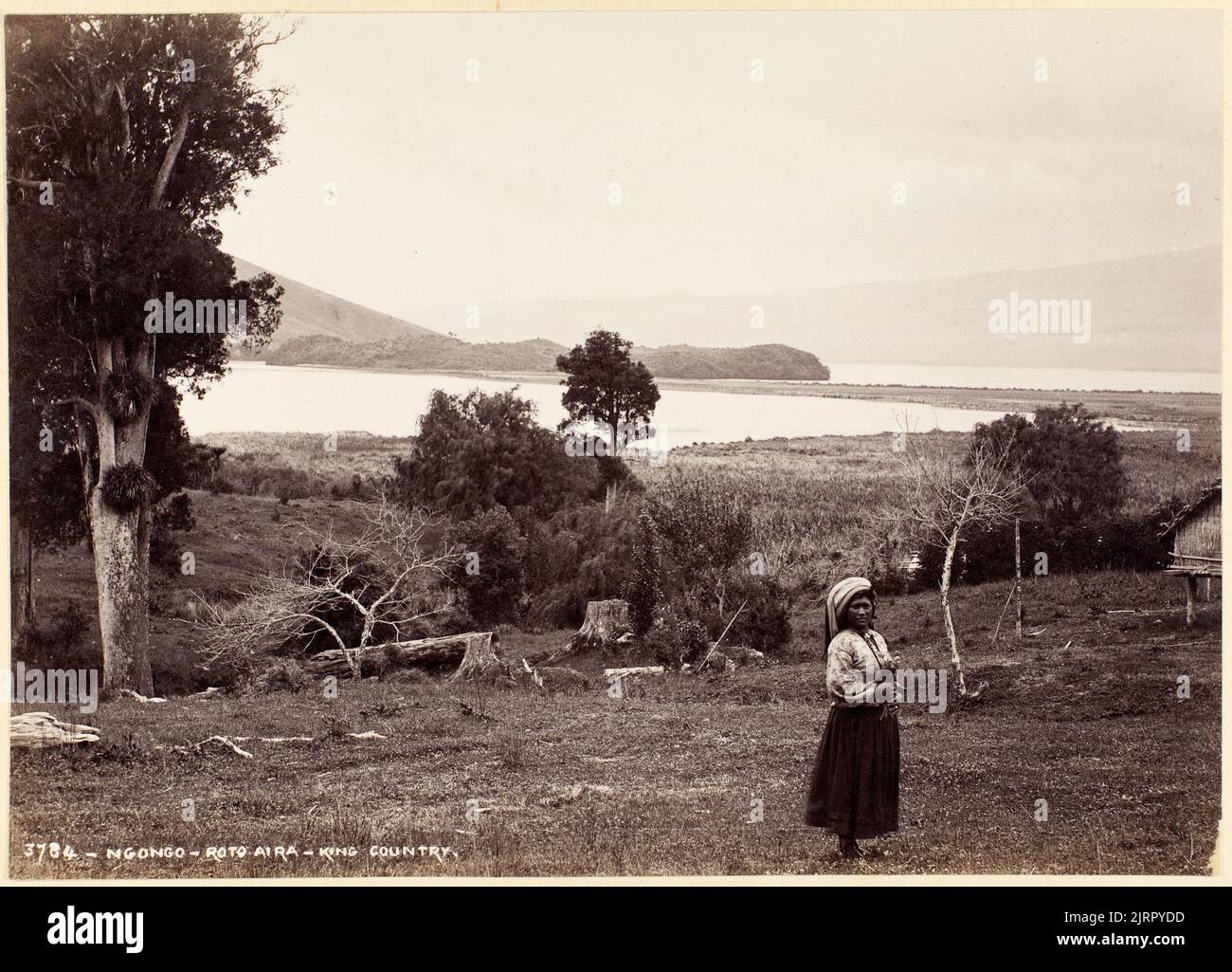 Ngongo roto hi-res stock photography and images - Alamy