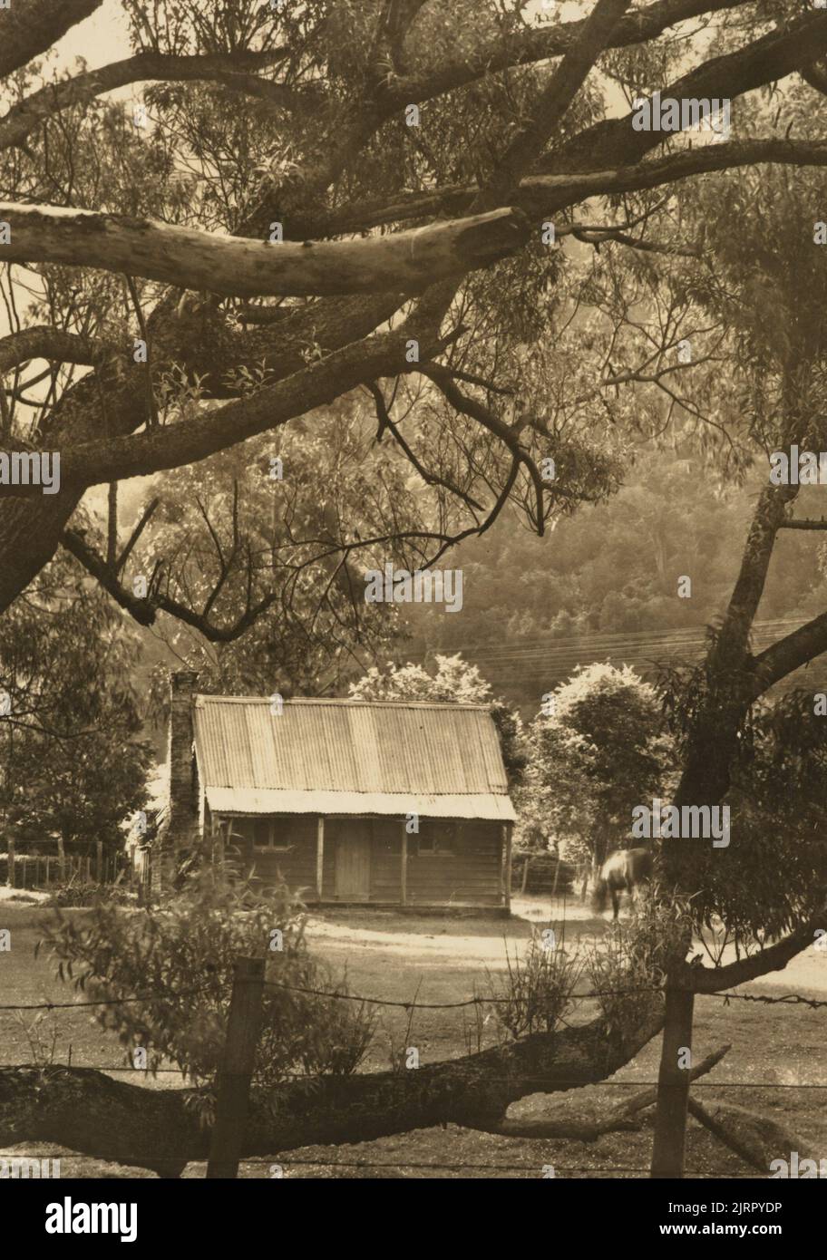 Pumpkin Cottage, Silverstream, Wellington, by J.W. Chapman-Taylor Stock ...