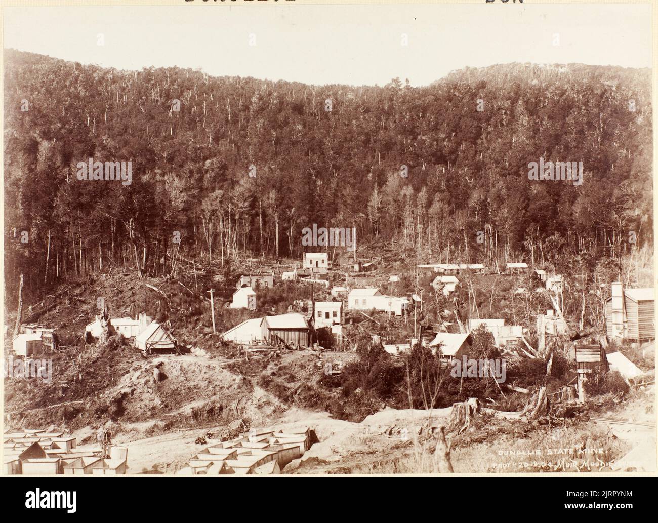 Dunollie State Mine, 1904, Dunedin, by Muir & Moodie Stock Photo - Alamy