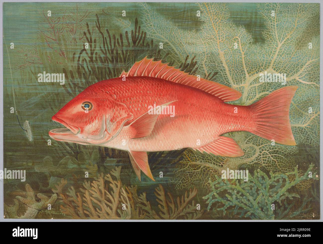 Untitled, by Armstrong & Co., Samuel Kilbourne Stock Photo - Alamy