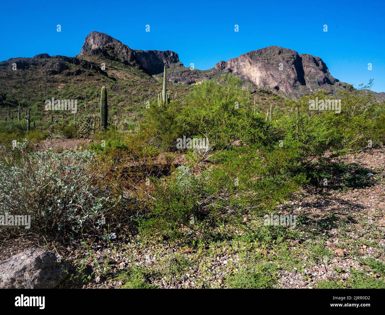 Picacho Peak is a distinctive landmark located halfway between Phoenix ...