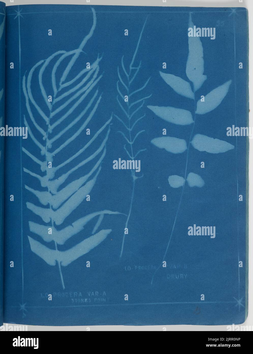 Craig point hi-res stock photography and images - Alamy