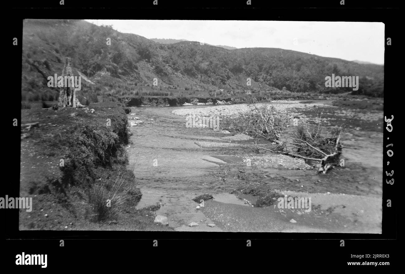 Mill swamp, 30 October 1933, by Leslie Adkin Stock Photo - Alamy