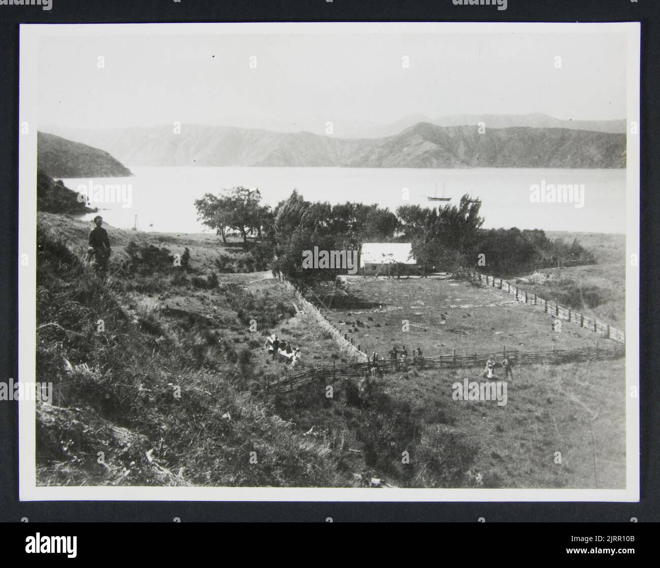 Photographs, circa 1890, New Zealand, maker unknown. Gift of the H.A ...