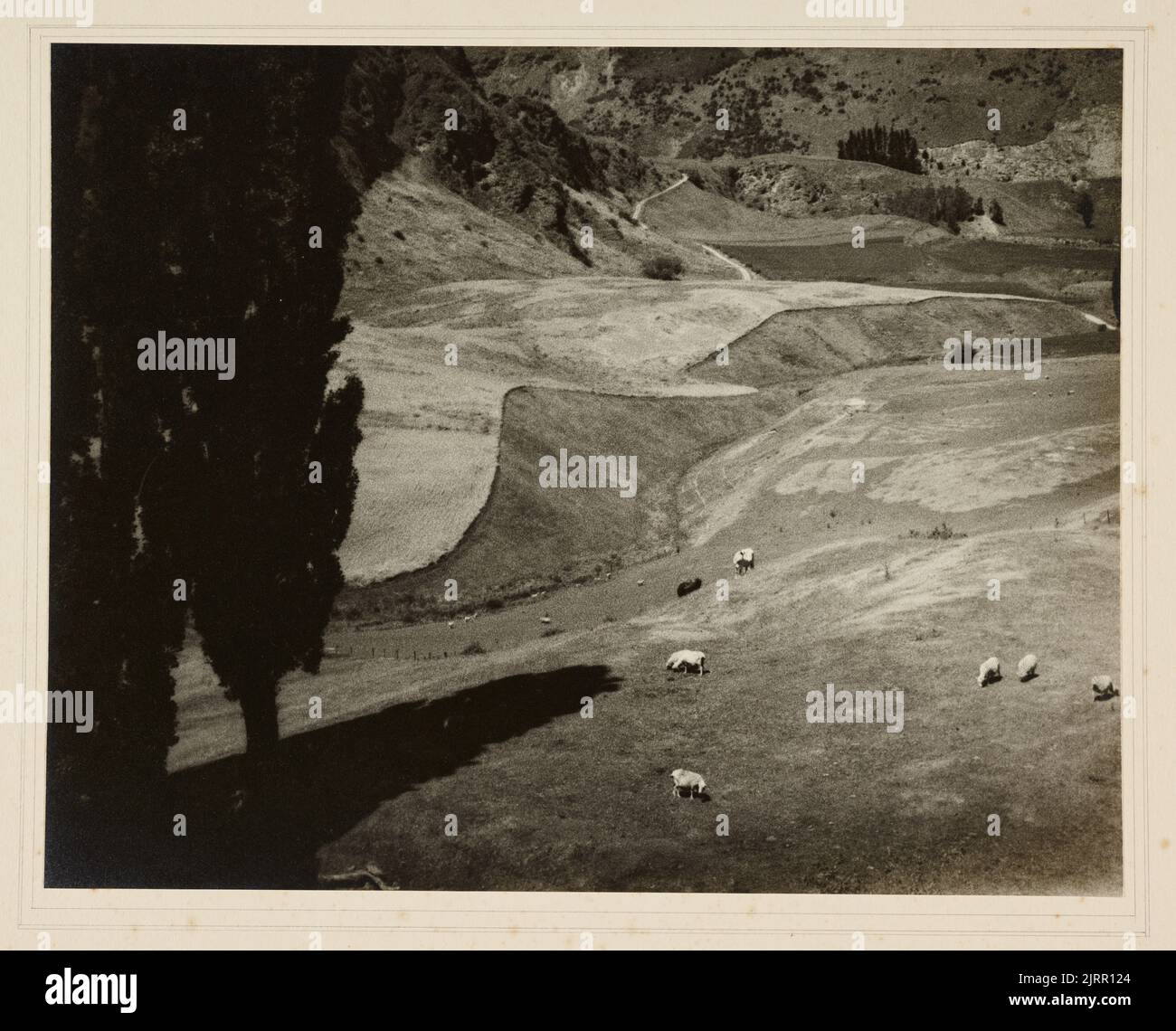 Untitled [Pastoral scene with sheep], circa 1940s, by H. Farmer ...