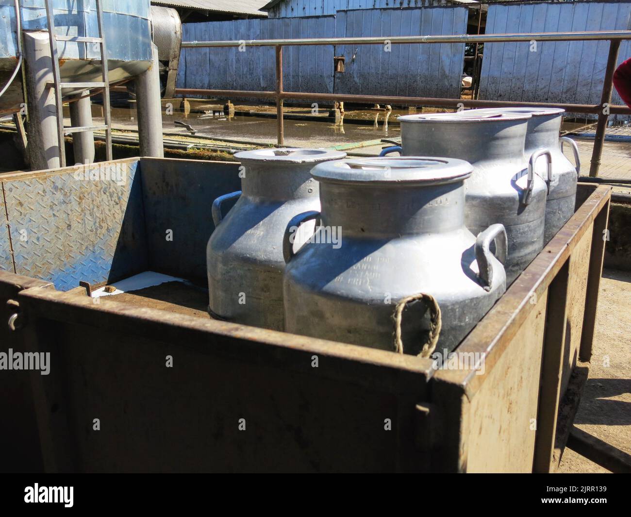 Milk production field in Chile Stock Photo - Alamy