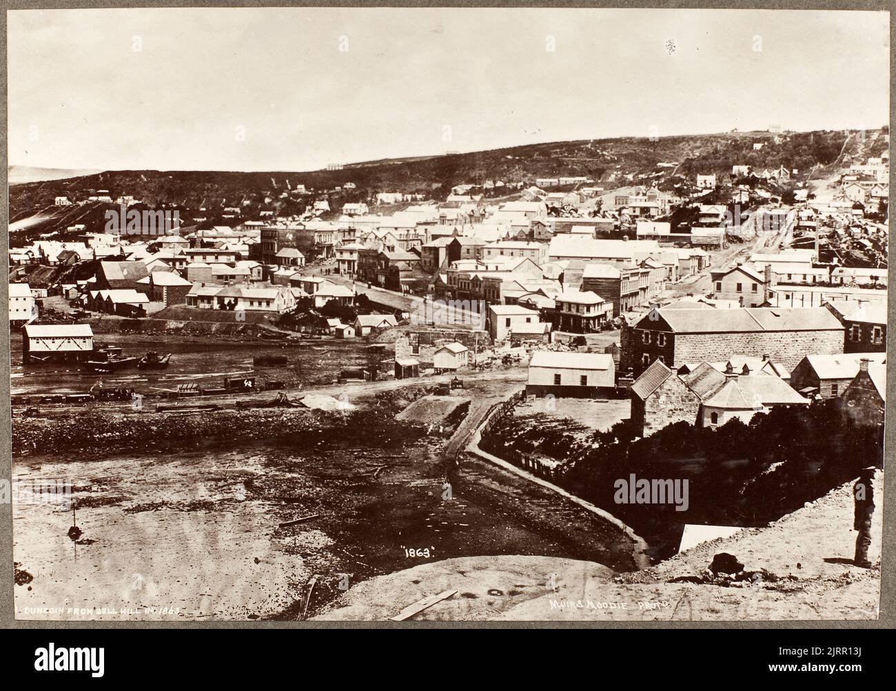 Dunedin from bell hill dunedin from bell hill hi-res stock photography ...