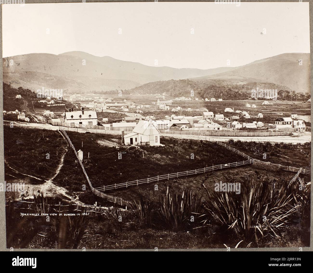 Dunedin in 1861 from the a hi-res stock photography and images - Alamy